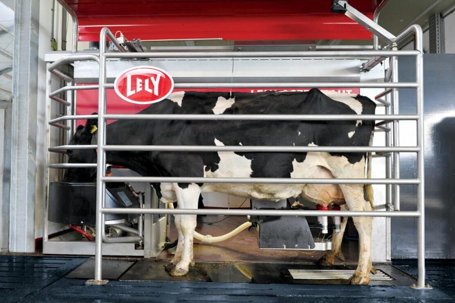 Роботизована доїльна система Lely Astronaut A4 — Біржа сільгосптехніки Traktorist.ua